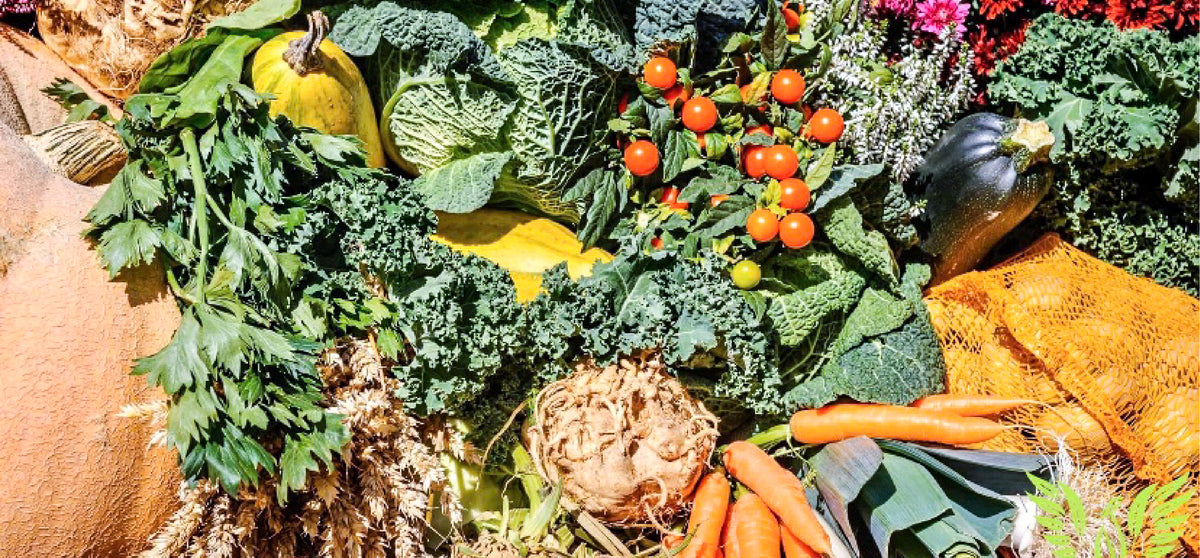 Max Gerson Foundation